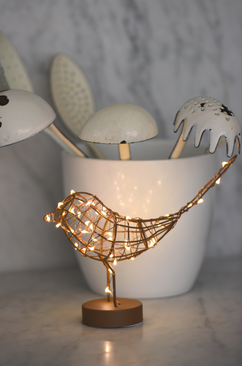 LED Bird Lights – Cavan Creek Market
